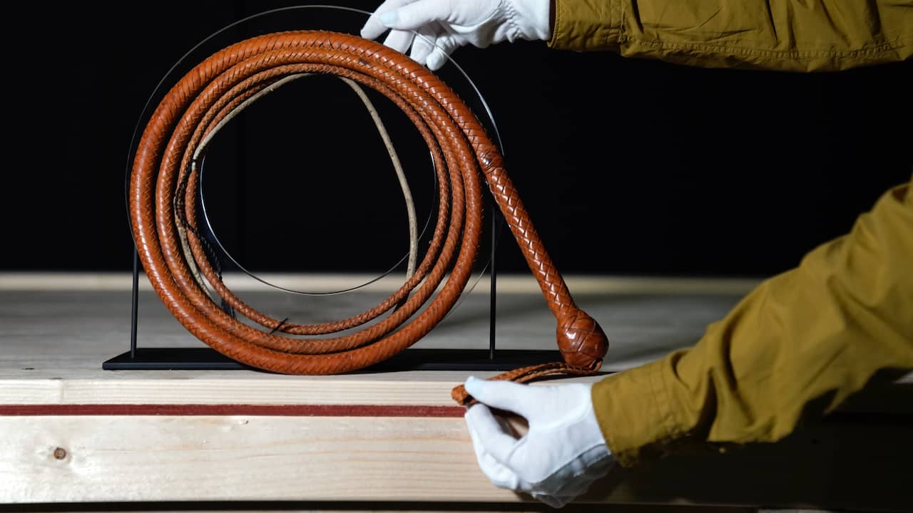 Indiana Jones-zweep die ooit van prinses Diana was geveild voor 450 ...