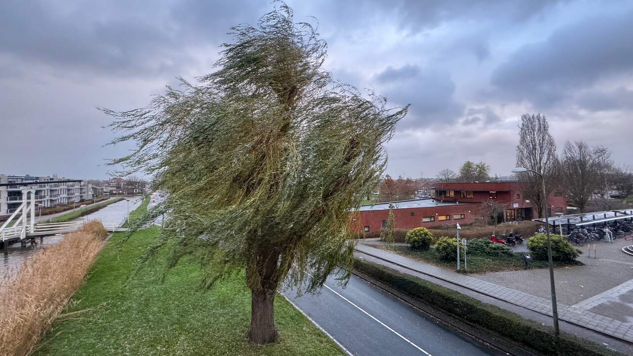 Waarom de storm van vandaag geen naam heeft en die van morgen wel | Binnenland | NU.nl