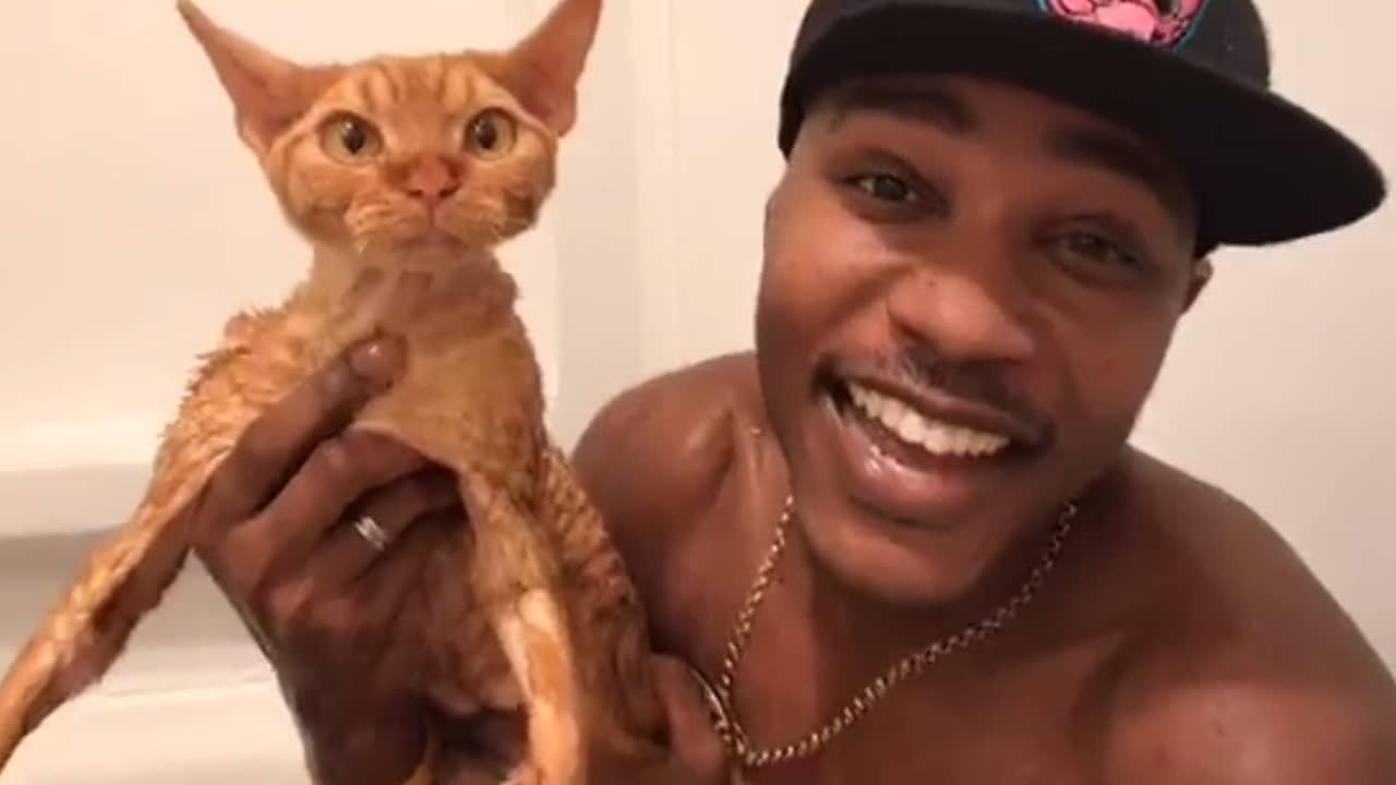 Rappende man gaat met kat in bad | WTF | NU.nl