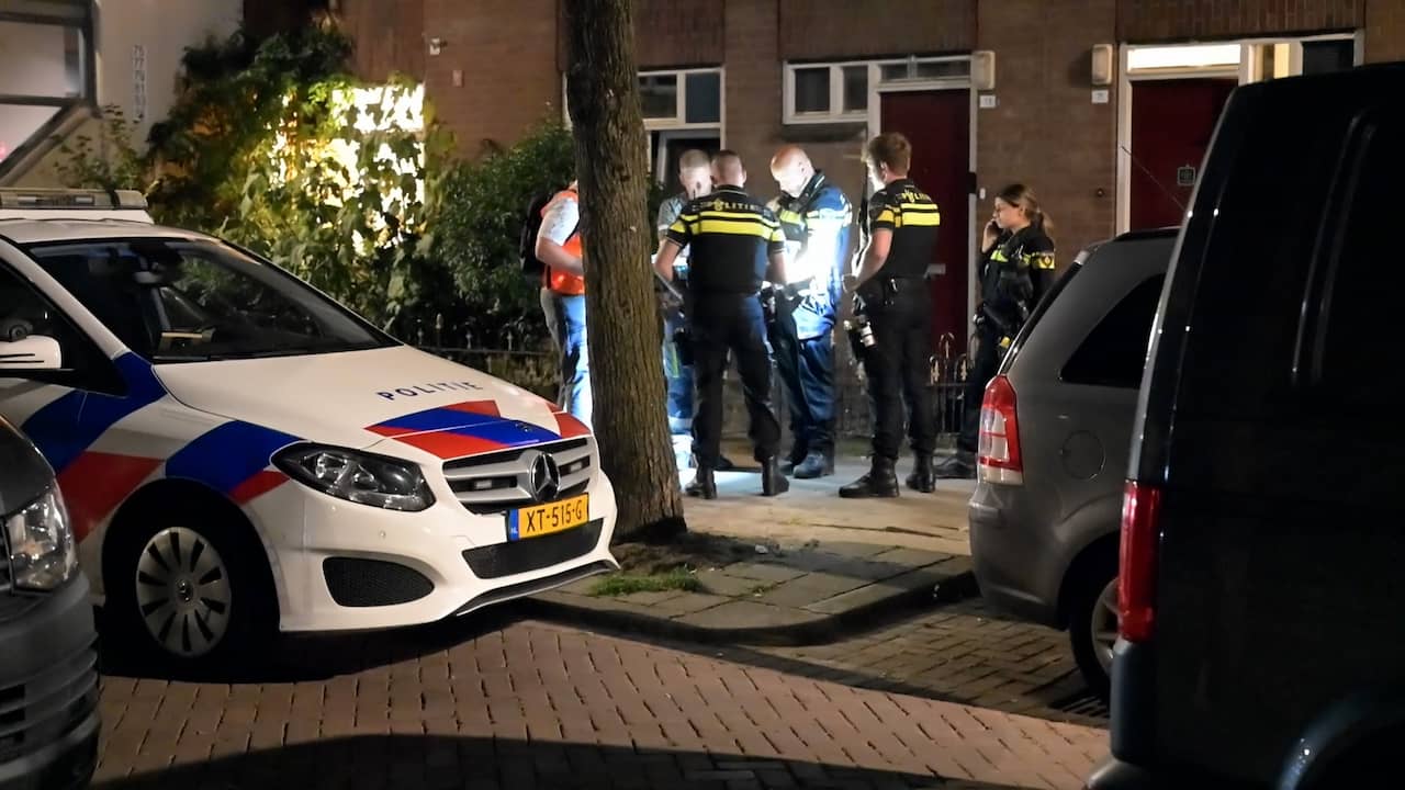 Hulpdiensten in actie na dodelijke aanval door honden in Rotterdam | NU.nl