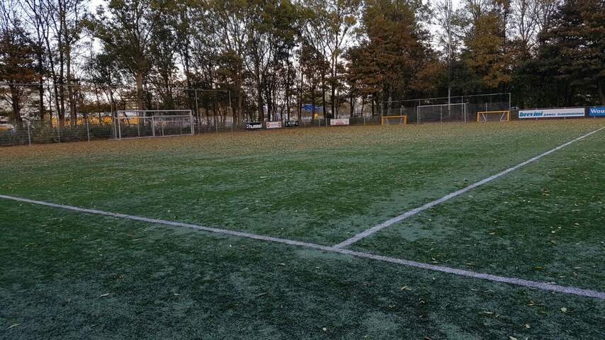 Ron de Roode nieuwe hoofdtrainer DoCoS | Leiden | NU.nl