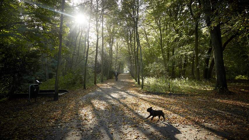 Aangenaam septemberweekend trapt af met veel zon | Weerbericht | NU.nl