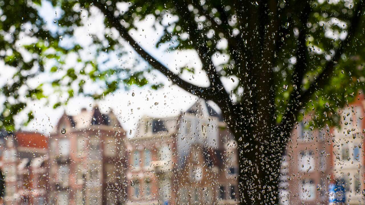 Weerbericht | Code geel vanwege dichte mist in het noorden van het land | Weerbericht | NU.nl