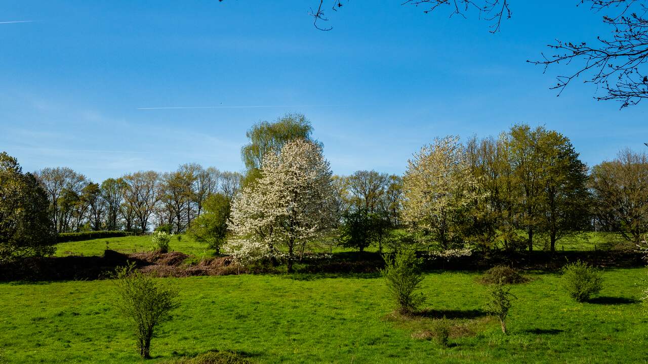 Weerbericht | Vrijdag begint zonnig, 's middags trekken buien over het land | Weerbericht | NU.nl