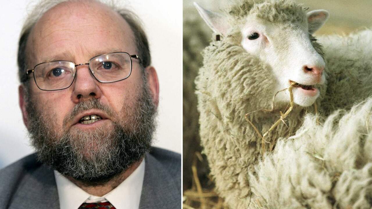 'Bedenker' Ian Wilmut van wereldberoemd gekloond schaap Dolly overleden ...