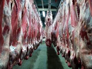 Belgische minister sluit per direct omstreden slachthuis wegens ...