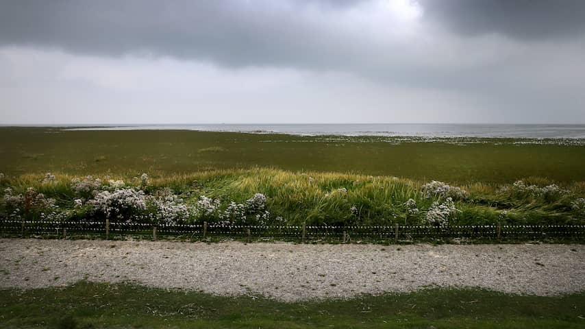 Kabinet stelt besluit over gaswinning onder Waddenzee bij Ternaard uit ...