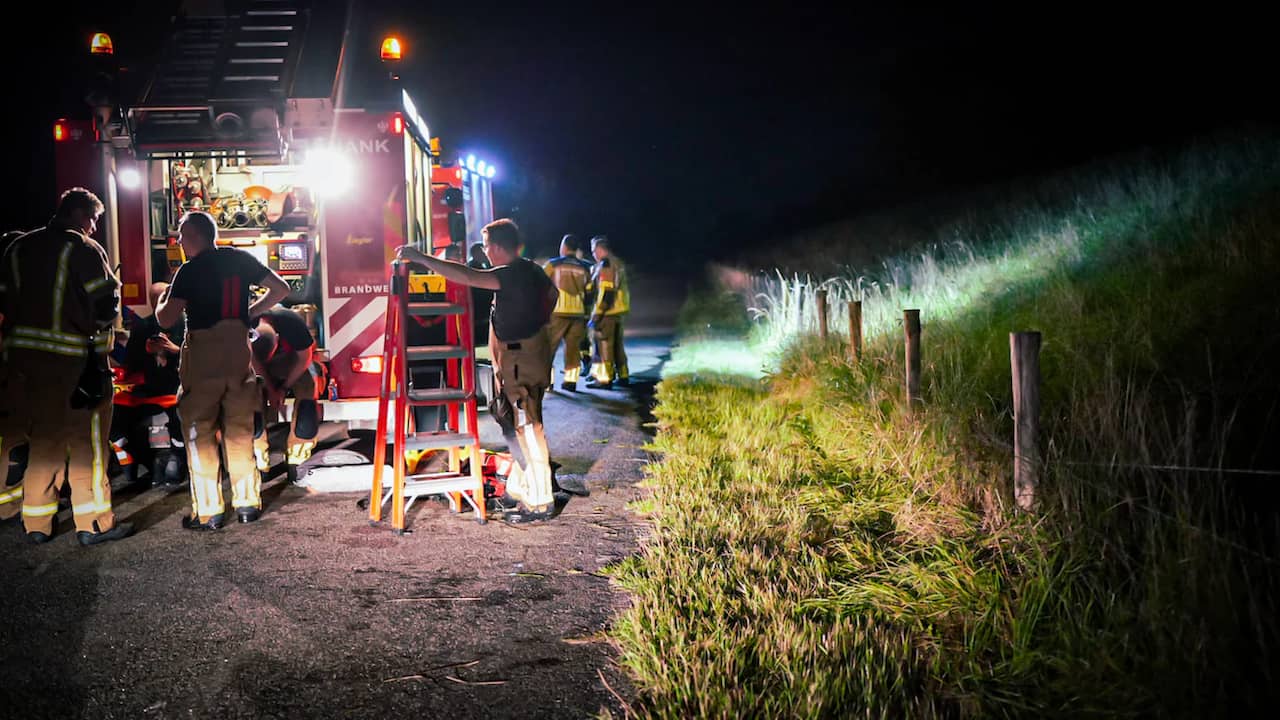 Tweetal 's nachts uit boom in Biesbosch bevrijd na ontsnapping aan ...