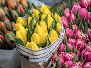 btw | NU - Het laatste nieuws het eerst op NU.nl