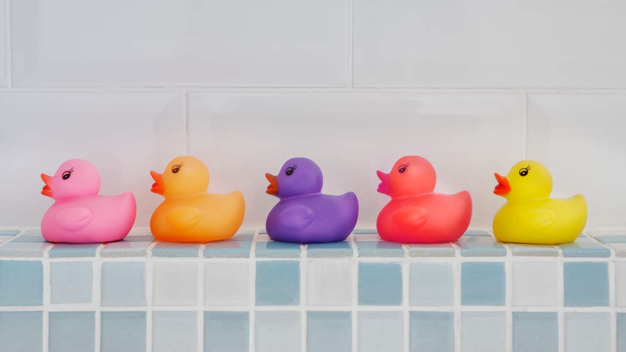'Vier op vijf badeenden bron van bacteriën en schimmels' | Gezondheid ...