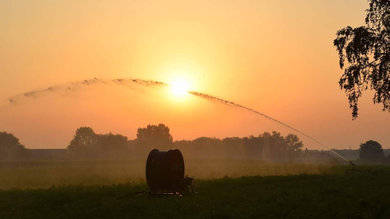 Neerslagtekort tot nu toe groter dan in droogste jaar ooit | Binnenland ...