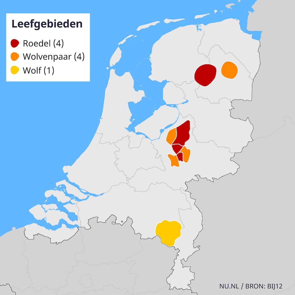 Nederland telt nu negen gebieden waar wolven territorium hebben ...