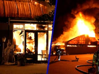 Zeewolde | NU - Het laatste nieuws het eerst op NU.nl