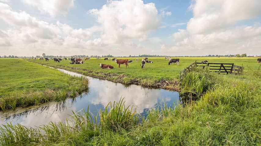 Nederland krijgt fikse tik op de vingers vanwege vieze sloten, rivieren ...