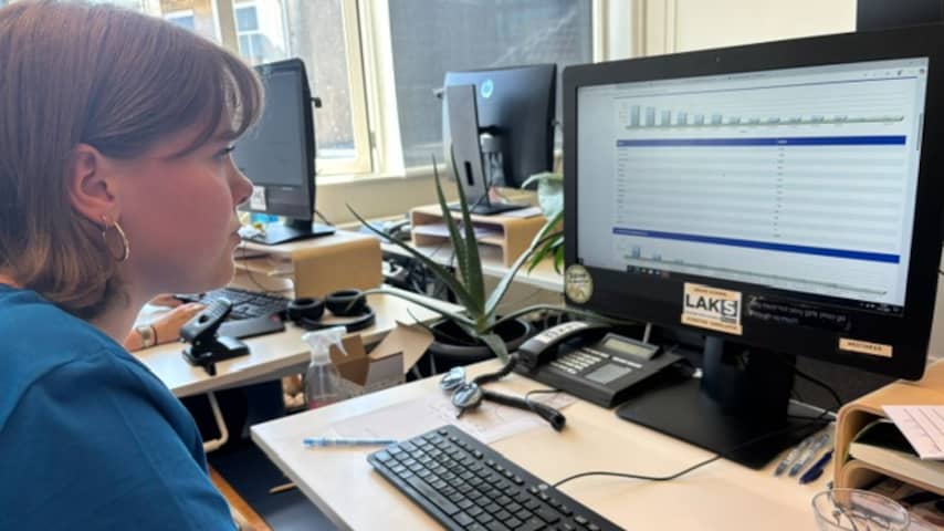'Vogel onder het dak zorgde voor chaos': lijn voor examenklachten is ...