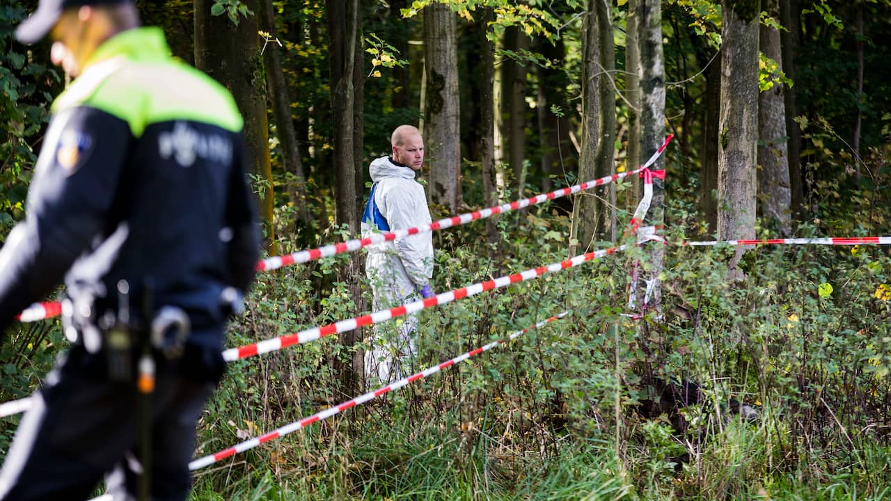 Michael P. bekent verkrachten en doden Anne Faber | Binnenland | NU.nl