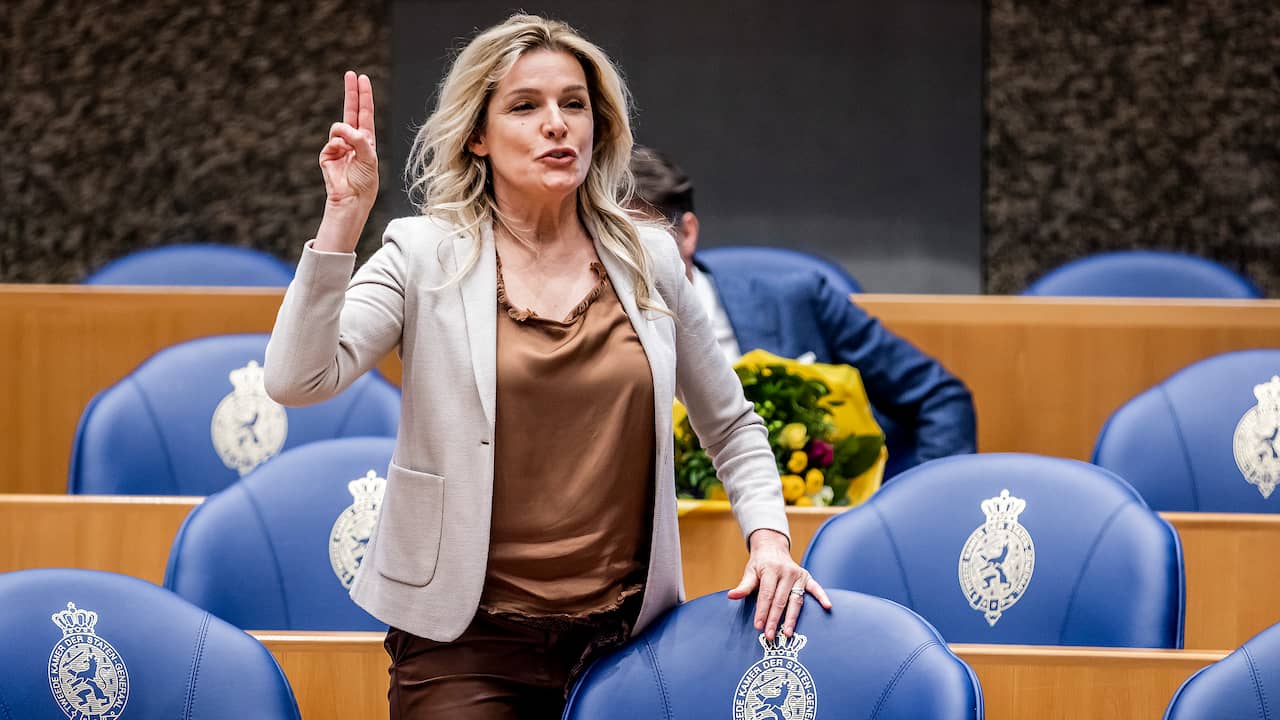 Oud-Lingo-presentatrice Lucille Werner verlaat na twee jaar alweer ...