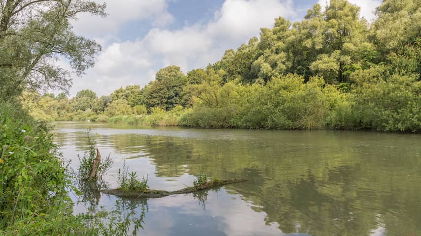 Jarenlang verbeterde natuur zich in waterrijke gebieden, maar die tijd ...