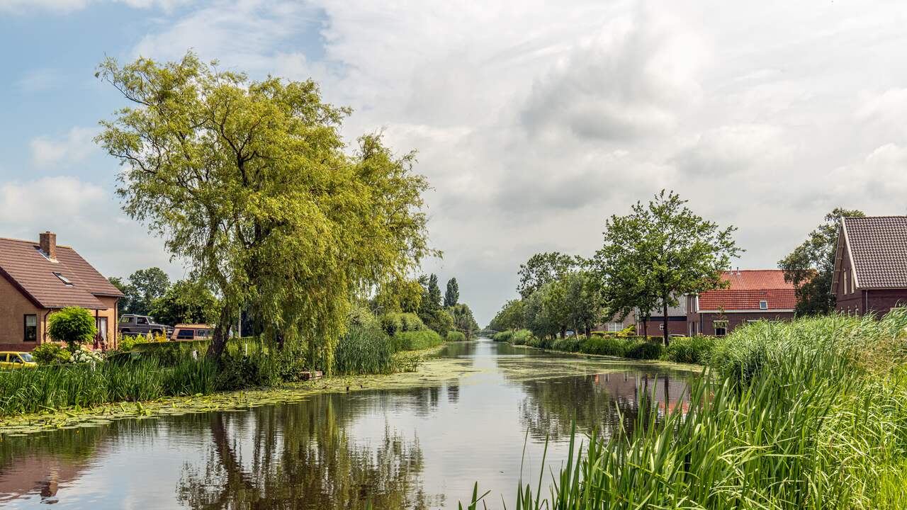 Weerbericht: Erg zachte dag met in de avond kans op wat regen ...