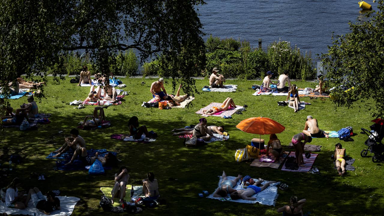 Vanaf maandag hitteplan in hele land, dinsdag en woensdag ver boven 30 ...