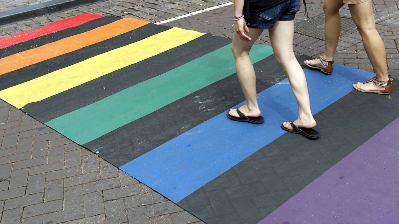 Utrechtse Heuvelrug wilde regenboogzebra's, maar kiest tóch voor ...