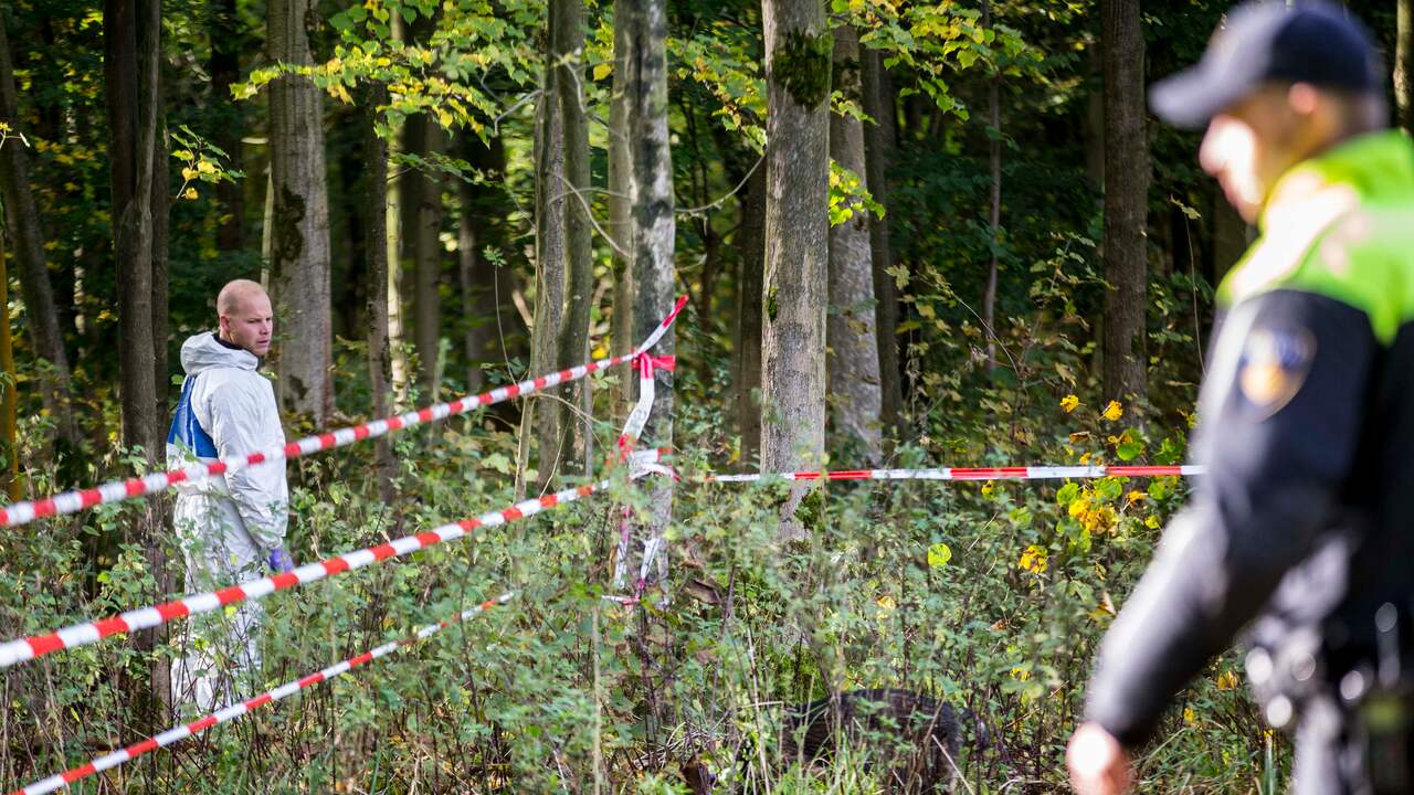 Michael P.: 'Ik doodde Anne Faber nadat ze om hulp riep' | Binnenland ...