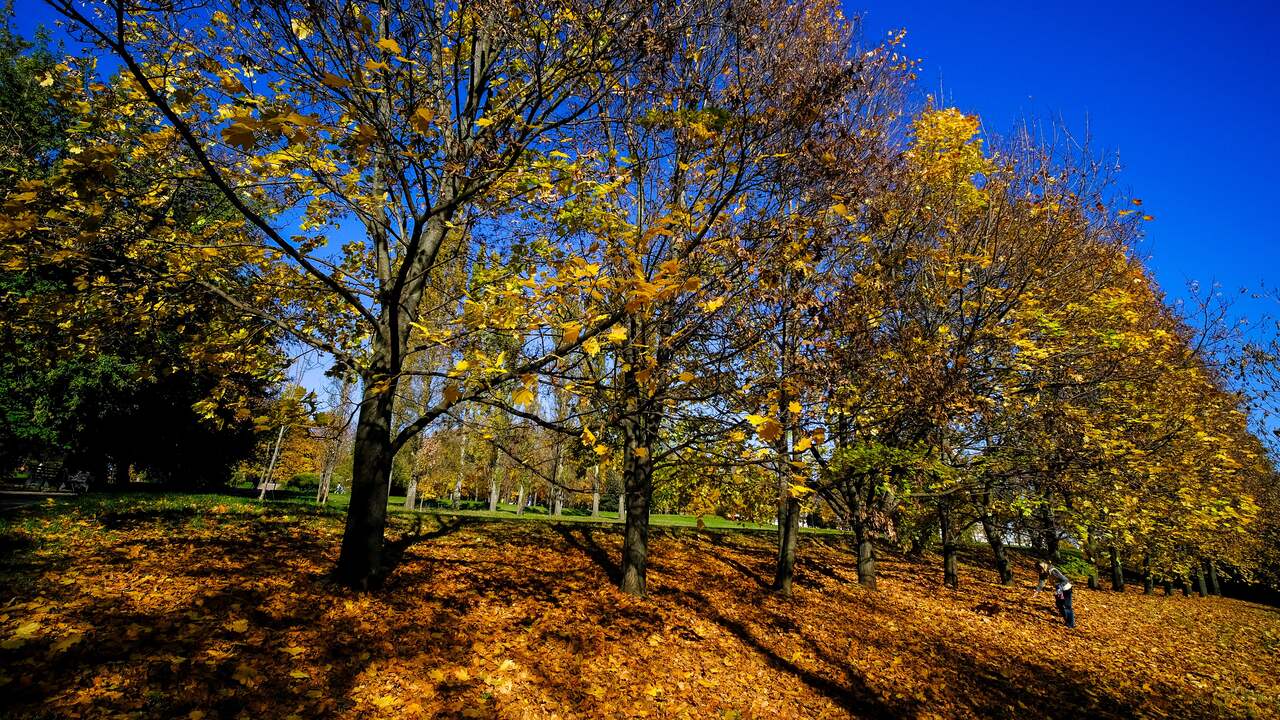 Weekendweerbericht: Vrij aangenaam herfstweer met af en toe een bui ...