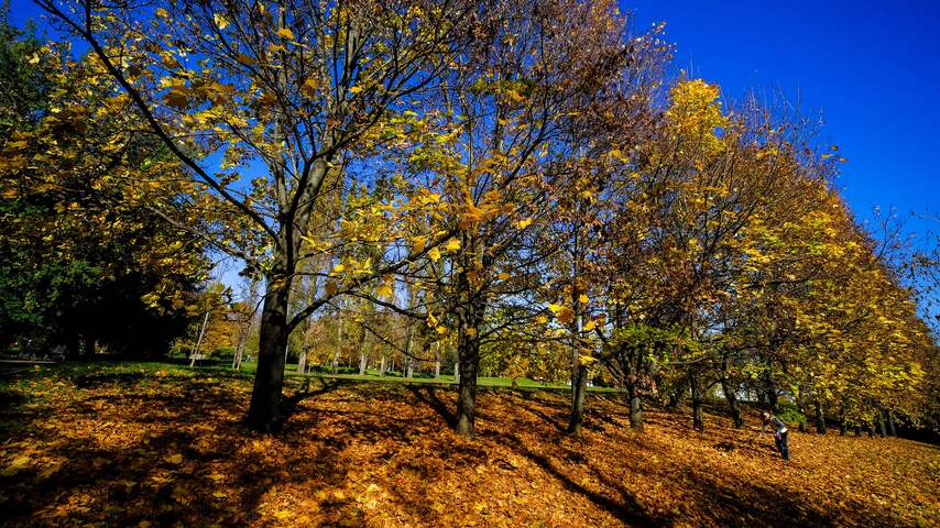 Weekendweerbericht: Vrij aangenaam herfstweer met af en toe een bui ...