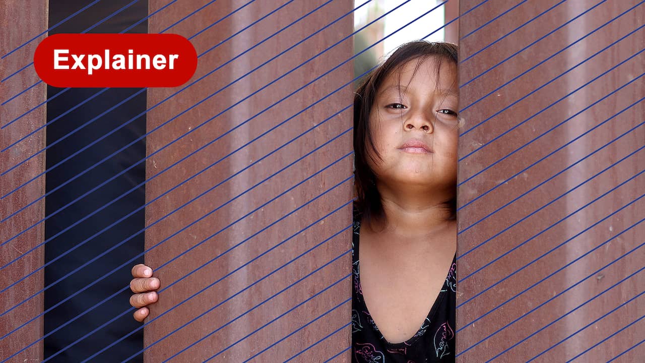 Trump neemt 'oorlogshitser' Liz Cheney onder vuur | Verkiezingsupdate ...