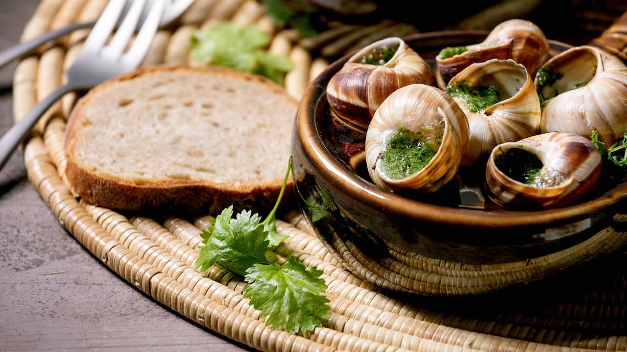 Ruim 90.000 euro aan slakken gestolen bij Franse kweker: 'Een grote ...