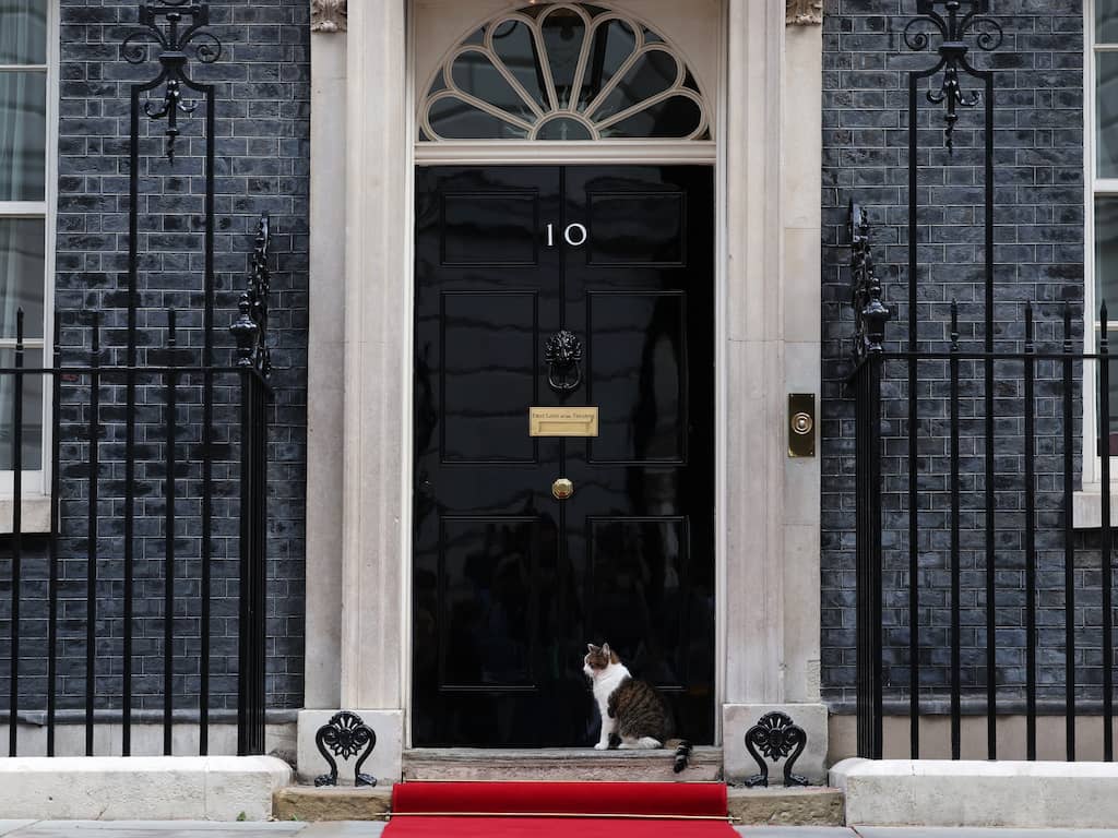 Larry the Cat en JoJo krijgen gezelschap van nieuwe kat op Downing ...