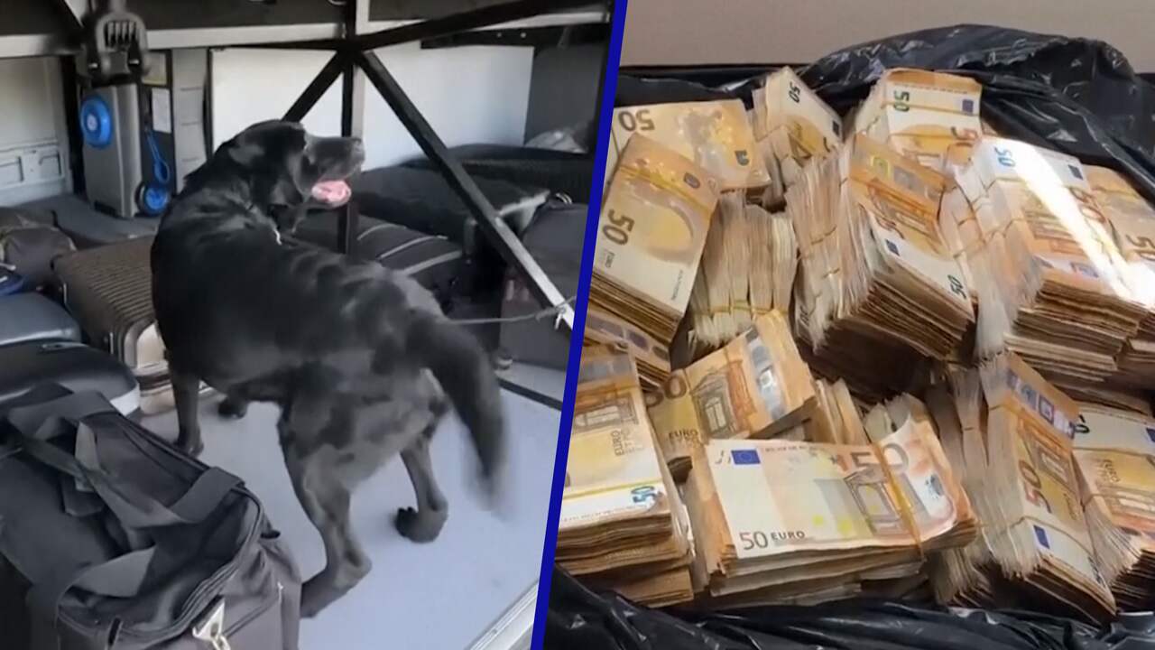 Speurhond vindt ruim miljoen euro bij routinecontrole in Italië | NU.nl