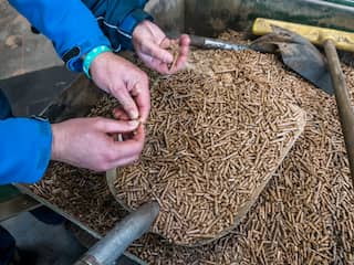 Biomassa | NU - Het laatste nieuws het eerst op NU.nl