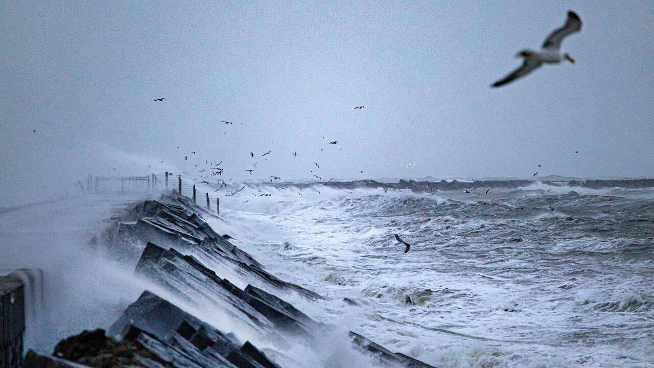 Schade door storm Dudley valt mee in Groningen | Groningen | NU.nl
