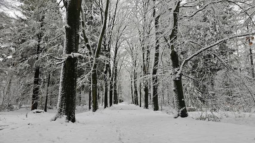 Streng winterweer na 1,5 week voorbij: even vaak code oranje als in ...
