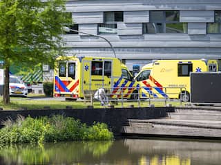 Utrecht | NU - Het laatste nieuws het eerst op NU.nl
