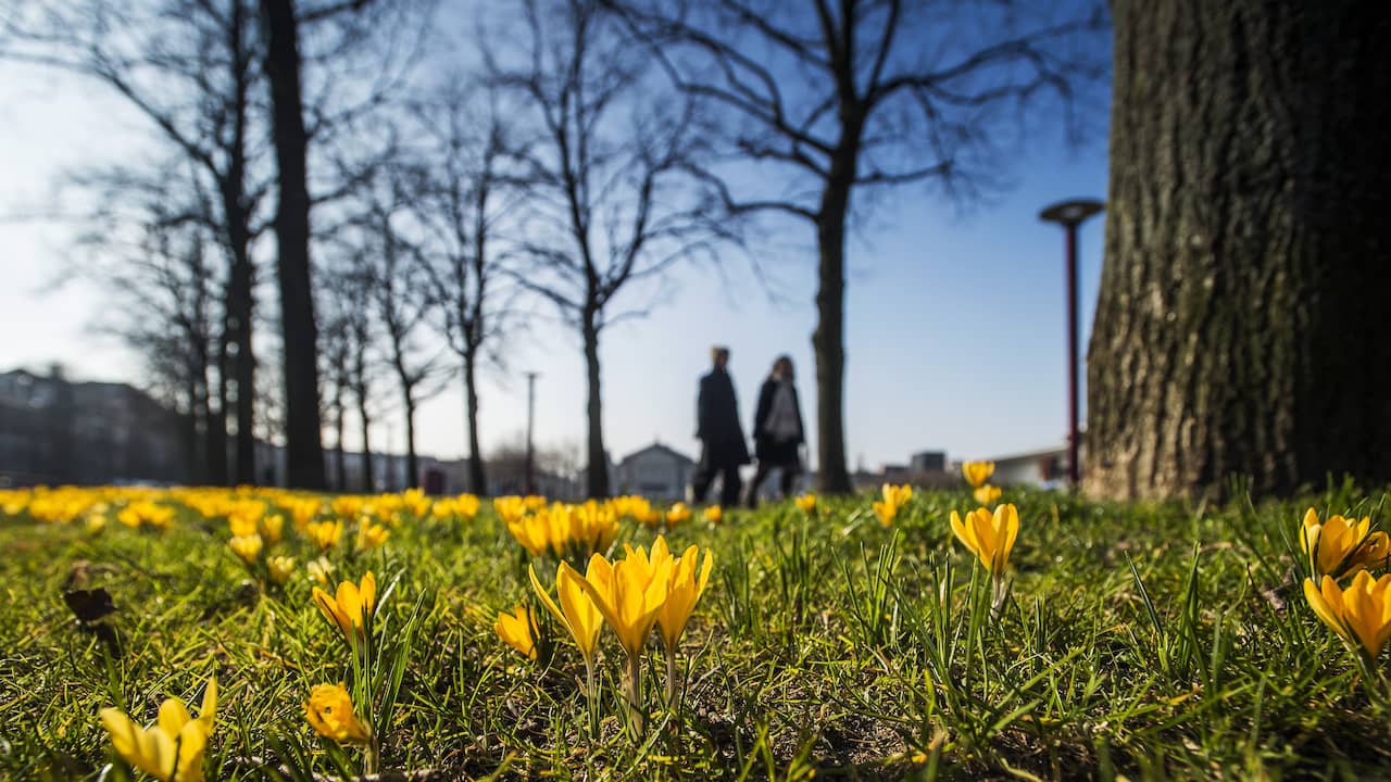 Na kou, regen en ijzel kan het dit weekend 'lenteachtig' aanvoelen ...