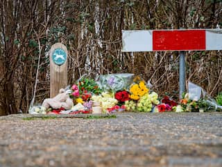 13-jarige verdachte doodsteken leeftijdsgenoot in Schiedam 90 dagen langer vast | Binnenland | NU.nl