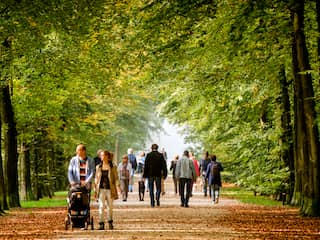 wandelen | NU - Het laatste nieuws het eerst op NU.nl