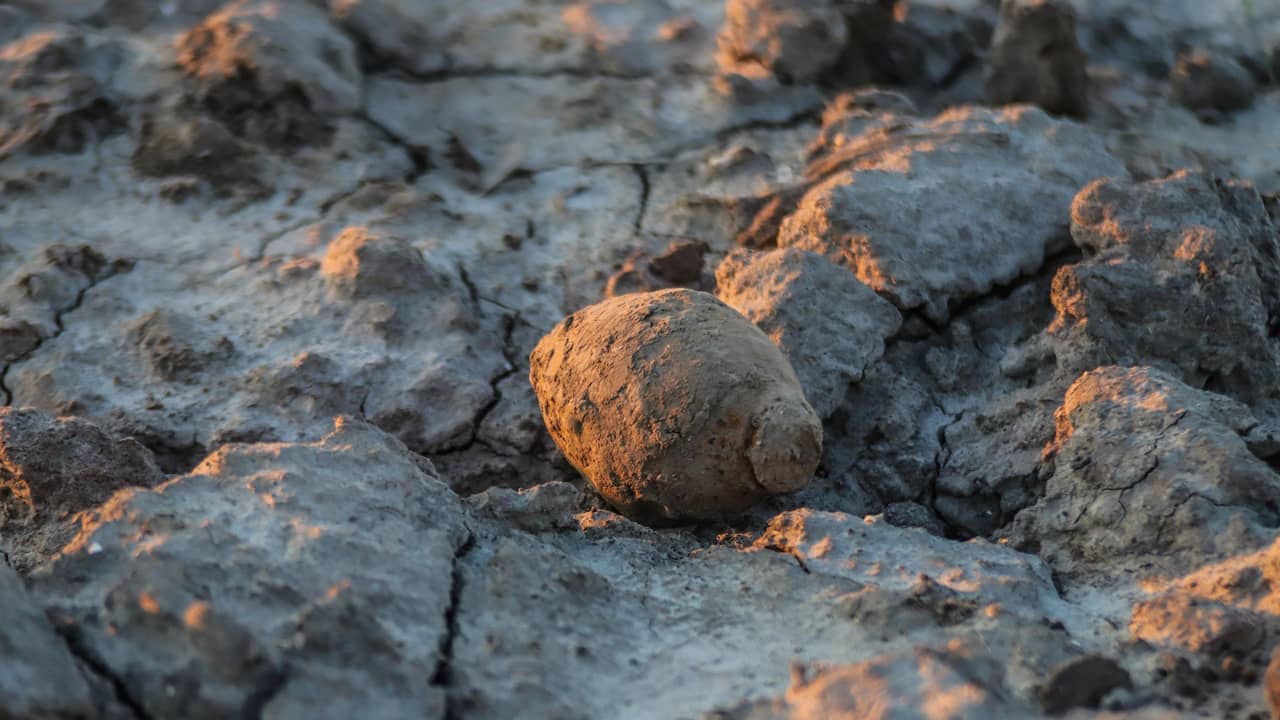 Boer ontdekt handgranaat tijdens het rooien van aardappels in Noord ...