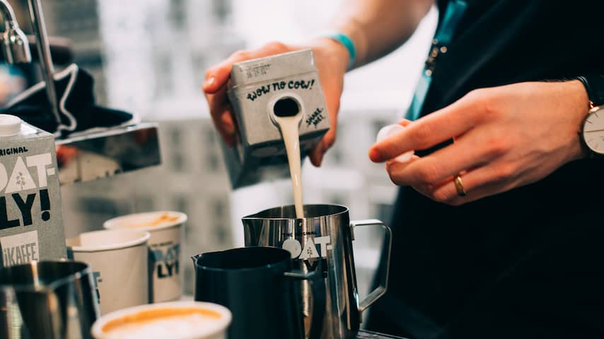 Koffie met melk? Explosieve vraag naar haver door 'havermelktrend ...