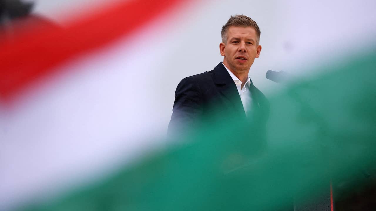 Peter Magyar is Hongarijes beste kans om ijzeren greep Orbán te ...
