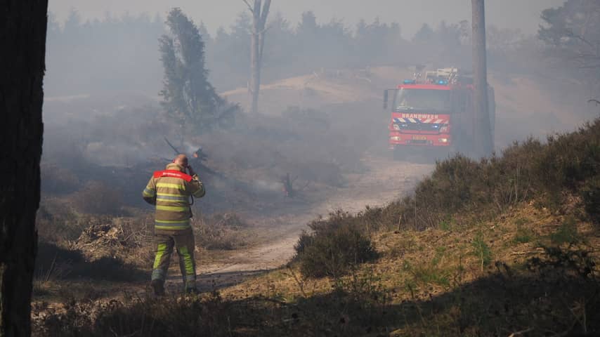 Grote natuurbrand Purmerbos is uit, schade nog onbekend | Binnen- en ...