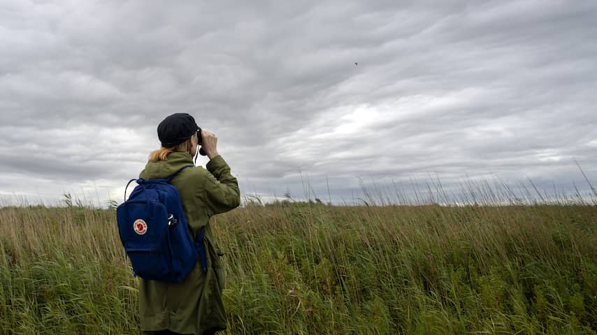 Weerbericht | Het wordt een saaie en grauwe dag | Weerbericht | NU.nl Weerbericht | Het wordt een saaie en grauwe dag | Weerbericht | NU.nl