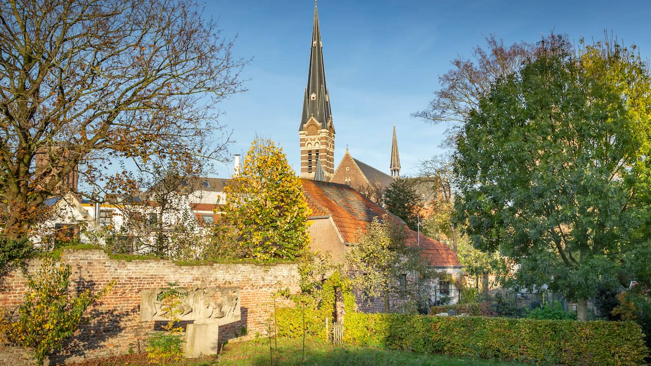 Meer dan honderd hondjes uit Culemborgse woning gehaald na stankoverlast | Dieren | NU.nl