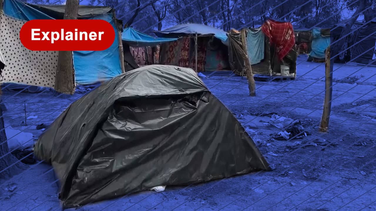 Live Super Tuesday | Lees terug hoe zegereeksen van Biden en Trump ...