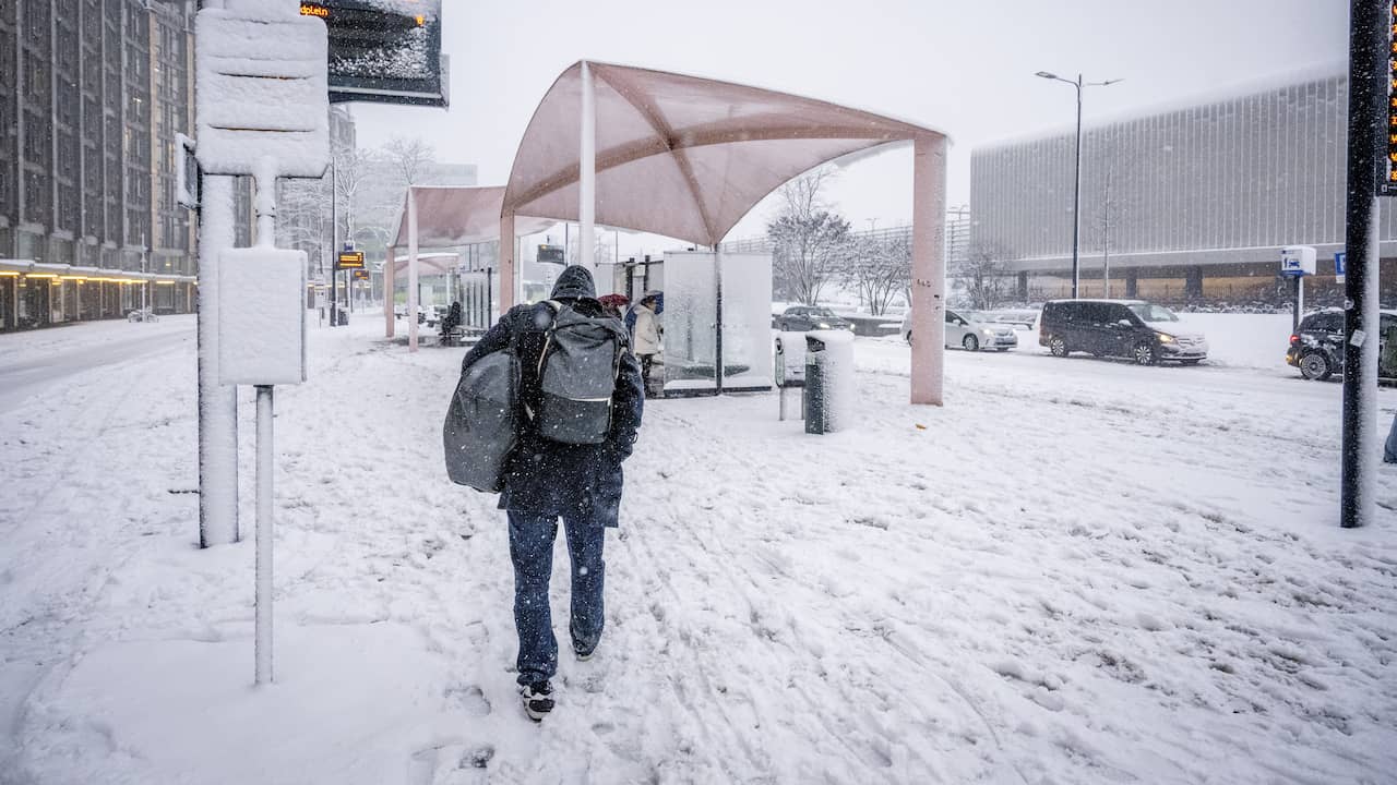 Teruglezen winterweer | Code oranje verlengd, tramverkeer in Rotterdam ...