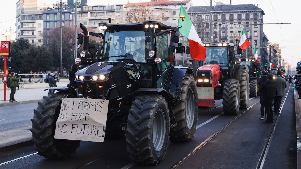 De Europese boerenprotesten gaan niet over stikstof, waarover dan wel ...