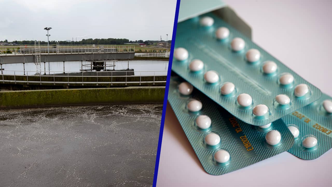 Uitdaging voor waterzuivering: deze impact heeft de pil op het water ...