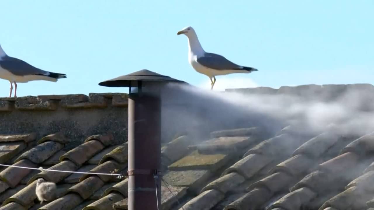 Nieuwe paus: witte rook stijgt op uit Sixtijnse Kapel | NU.nl Nieuwe paus: witte rook stijgt op uit Sixtijnse Kapel | NU.nl